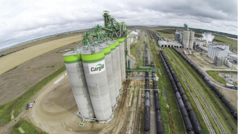 Como se candidatar às novas vagas de emprego da Cargill disponíveis em ...